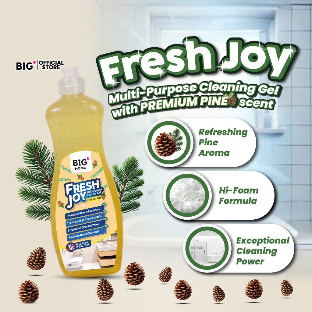 BIG + FreshJoy MultiPurpose Cleaning Gel (Premium Pine 500g) | Scrub ...