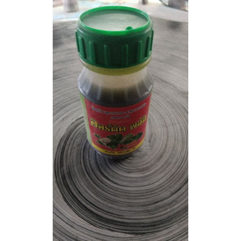 baja daun botol hijau dari thailand | Shopee Malaysia