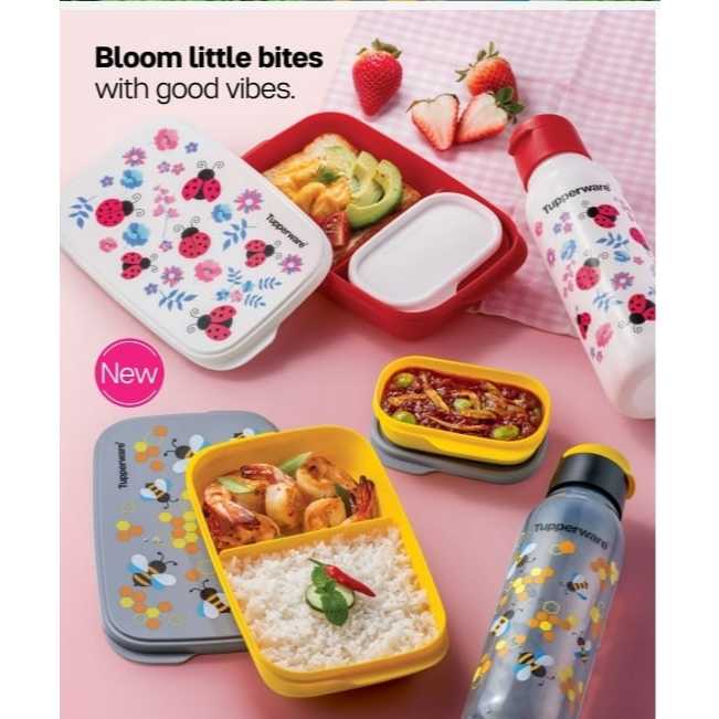 Tupperware Whimsical Garden Set / Lunch Box Set | Shopee Malaysia