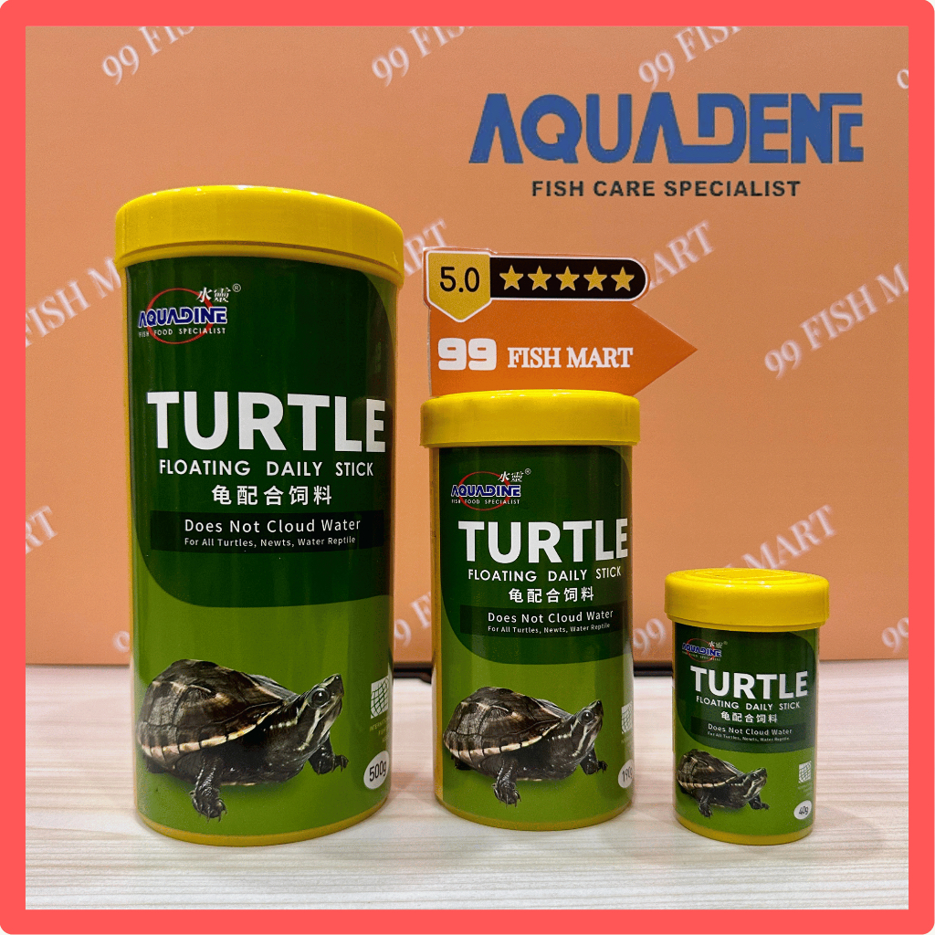 AQUADINE TURTLE ( 500g / 190g / 40g ) - FLOATING DAILY STICK - TURTLE ...