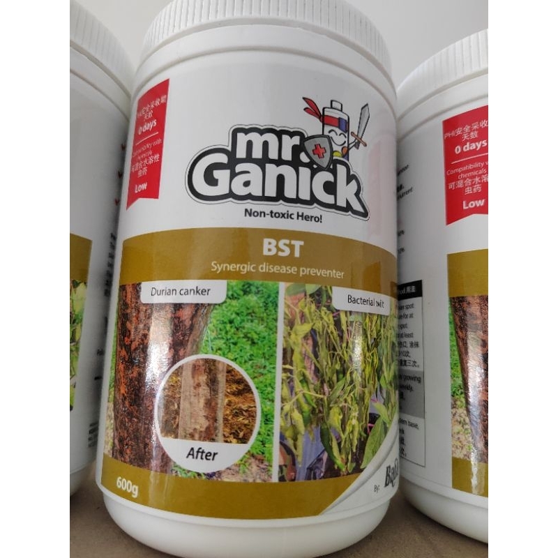 Mr Ganick BST ubat kulat 600g | Shopee Malaysia