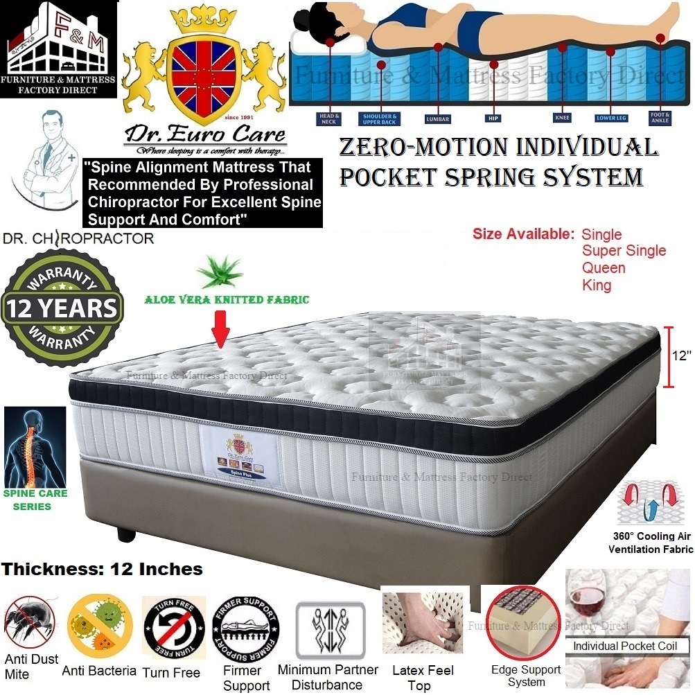 Dr. Euro Care Spine Plus Zero-Motion Individual Pocket Spring with (3 ...