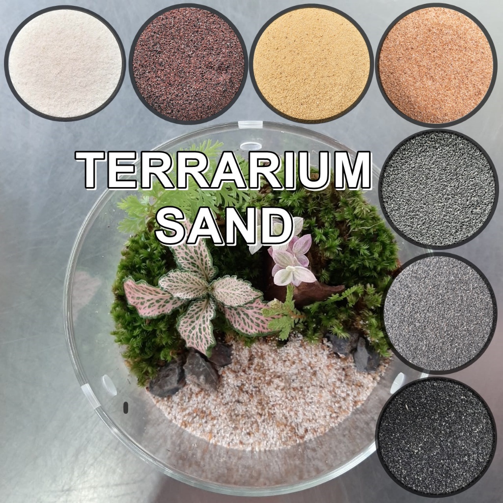 LUSHECO-100g Aquatic Substrate Sand/Decorative Sand For Terrarium ...