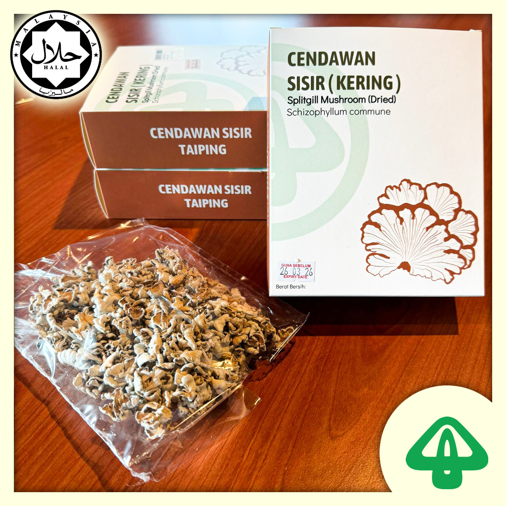 [Halal - Buatan Malaysia] Dried Organic Splitgill Mushroom / Cendawan ...
