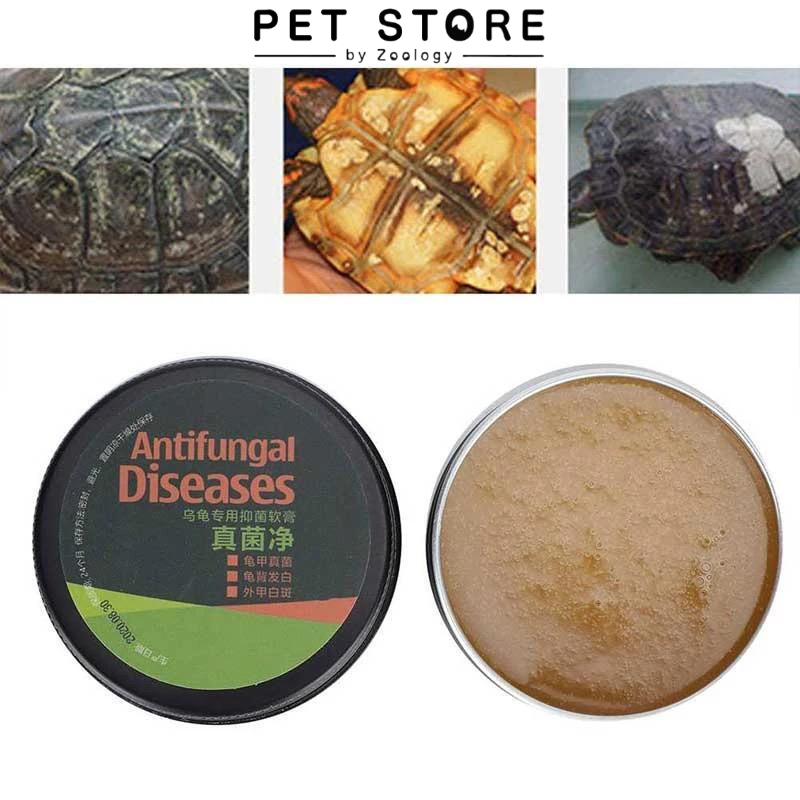 Turtle Anti Fungal Medicine Fungus Antifungal Cream Shell 乌龟药 乌龟真菌膏 ...