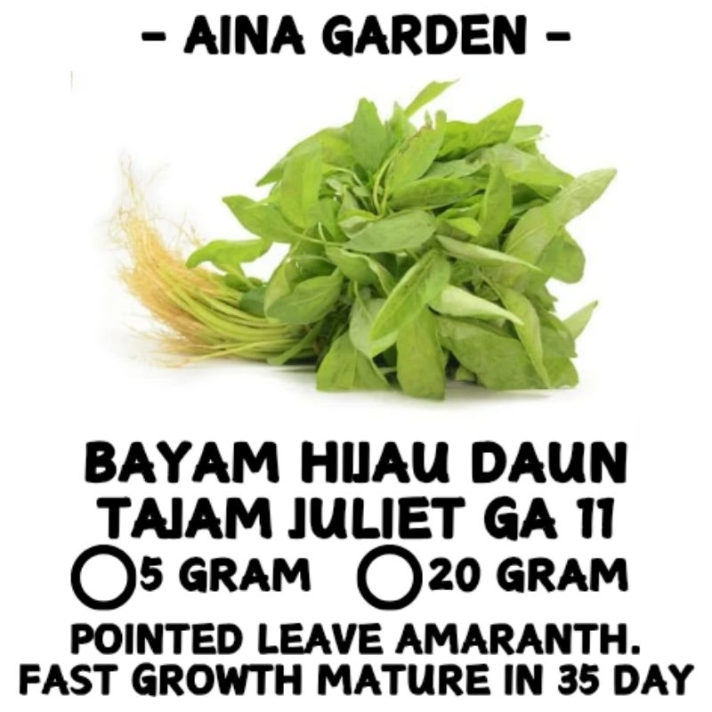 HSK [5gram/20gram] BAYAM HIJAU DAUN TAJAM TIRUS | JULIET GA 11 ...