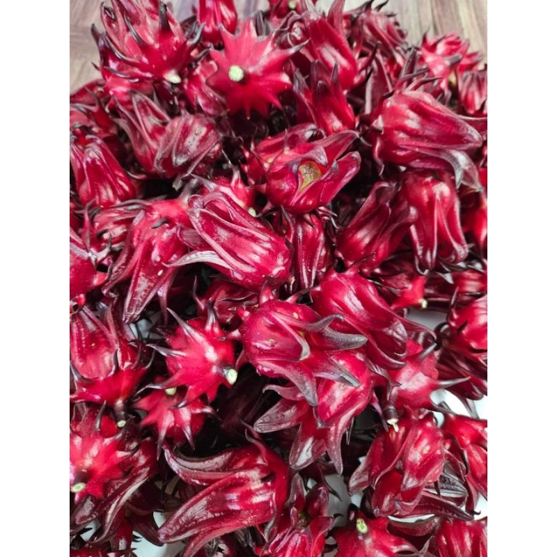 BUAH ROSELLE SEGAR DI PETIK TERUS DARI LADANG (1 Kg RM12) | Shopee Malaysia