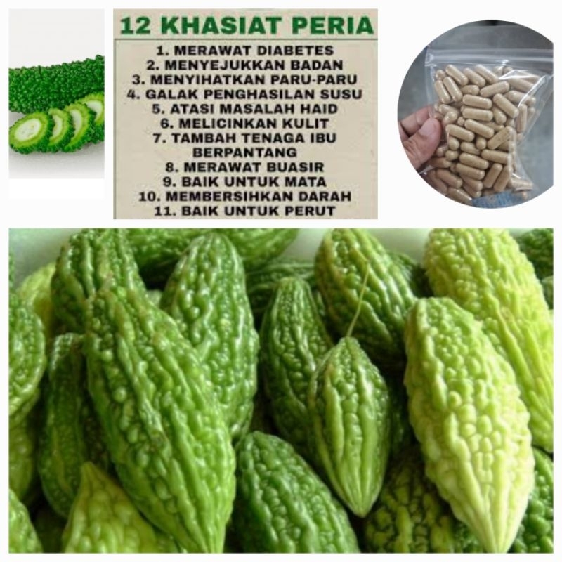 Buah peria kapsul saiz 0 100 pcs | Shopee Malaysia