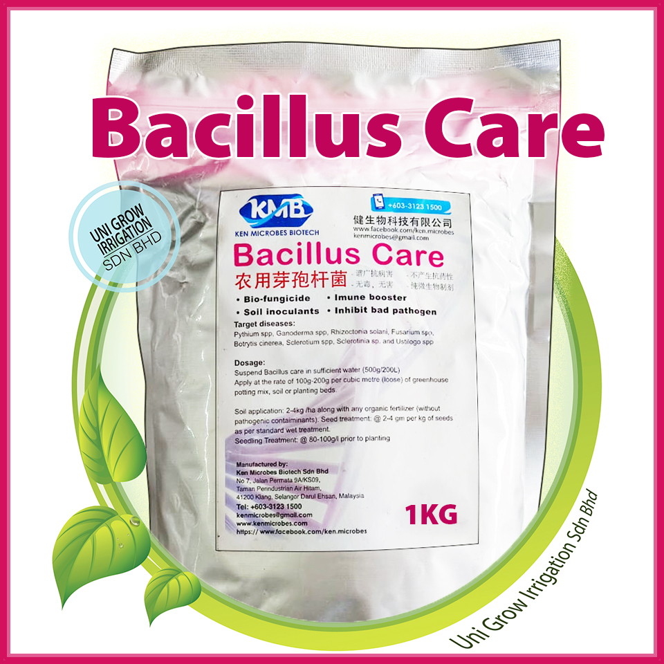(1kg) Bacillus Care Racun Kulat Bio Ken Microbes / Bio Fungicide Imune ...