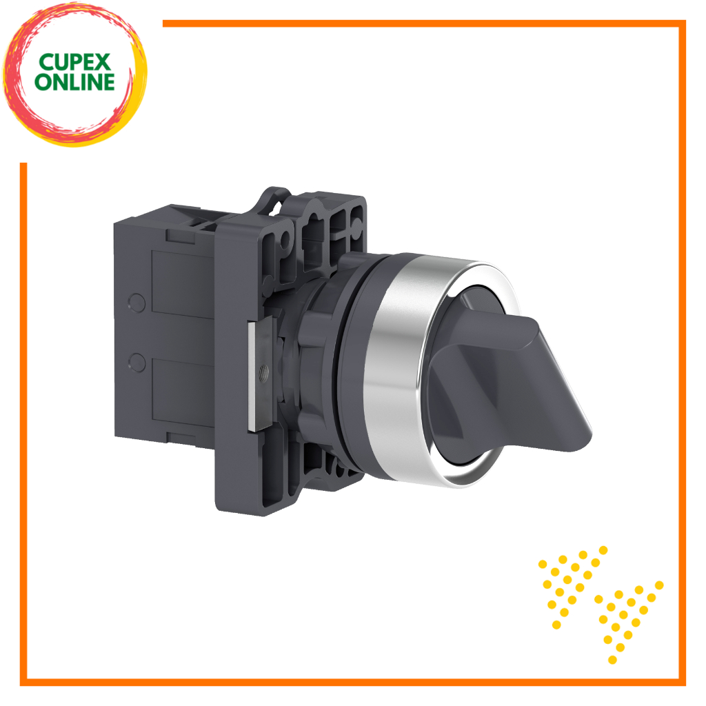 SCHNEIDER ELECTRIC Harmony Easy XA2E Selector Switch with Standard ...