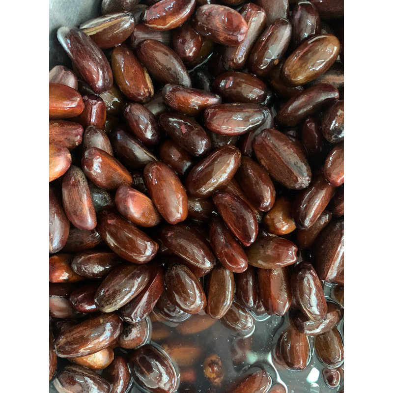 BUAH PERAH fresh 1KG dijamin murah ready stock BUAH PEROH | Shopee Malaysia