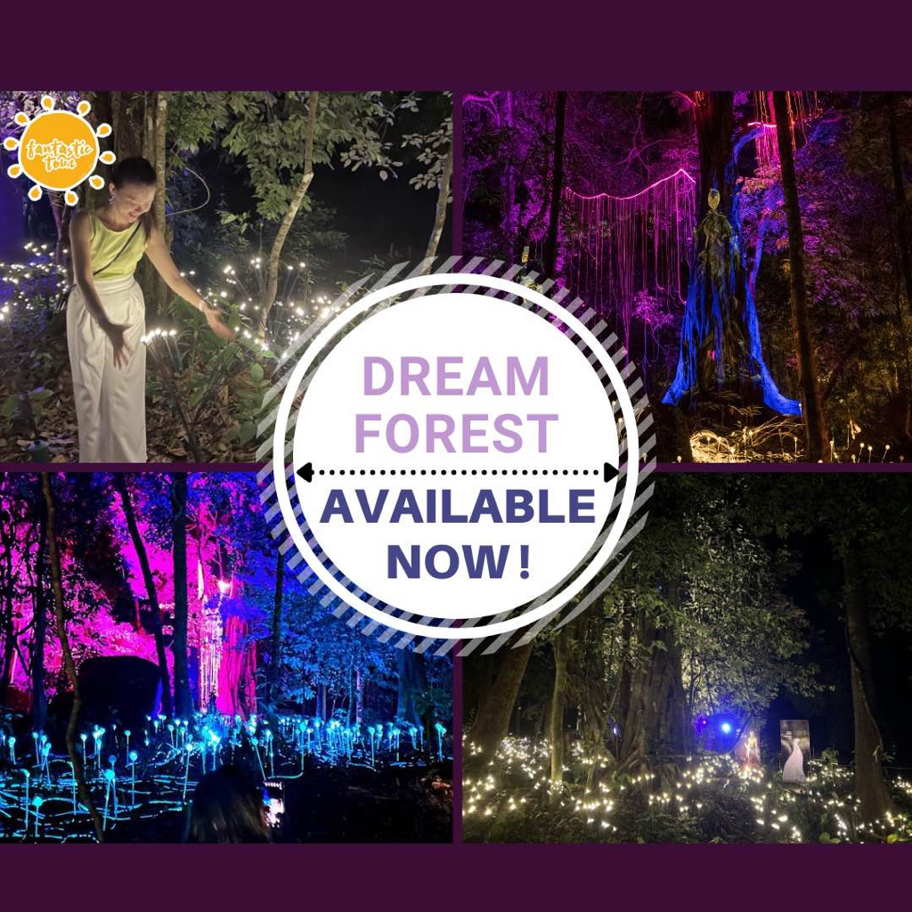 (PROMO) Dream Forest Langkawi - Entrance Ticket (Now Until 31 Dec 2025 ...