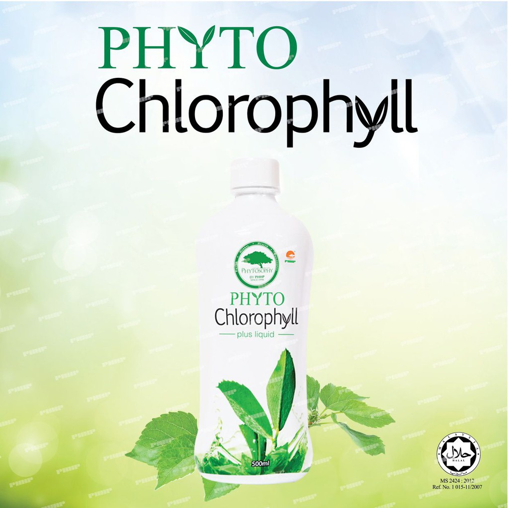 PHHP Phyto Chlorophyll Plus Liquid 1 Bottle 500ml (Exp : 04/2025 ...