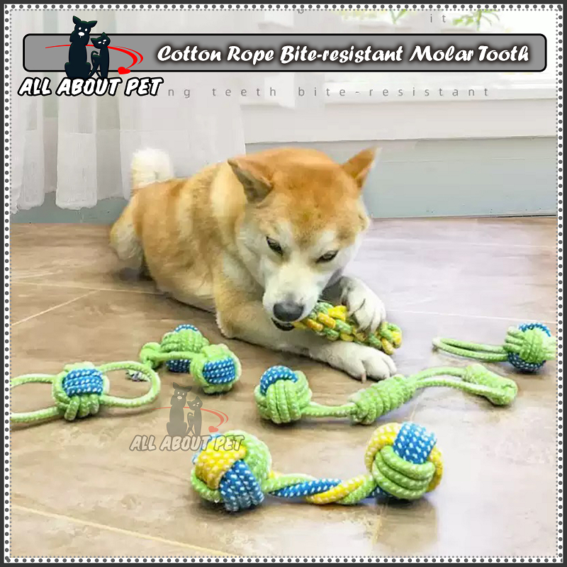 Pet Dog Puppy Cotton Rope Bite-resistant Molar Tooth Cleaning Play ...