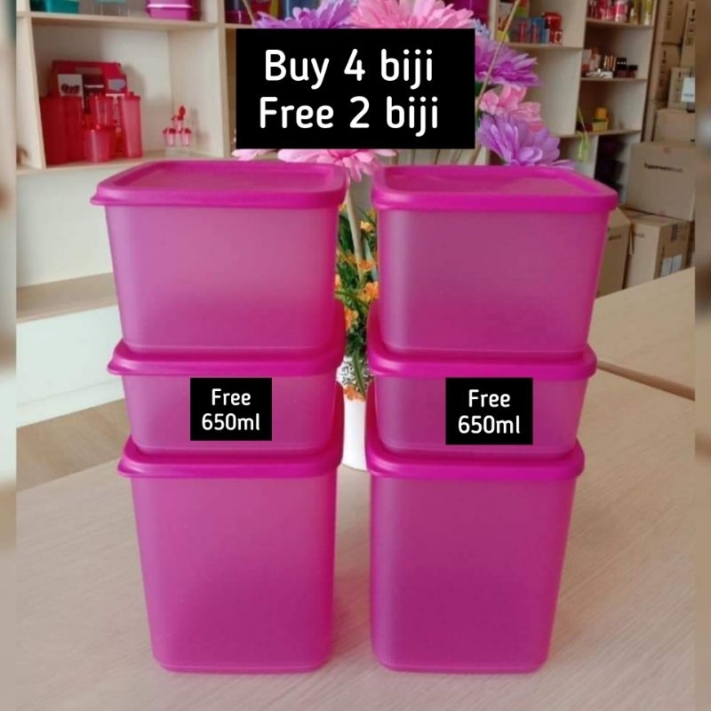 TUPPY ELEGANT ( SO FRESH SQUARE SET ) | Shopee Malaysia