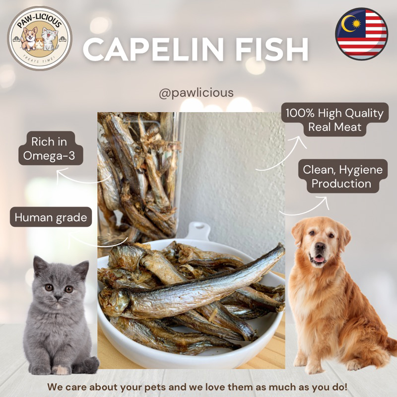[Ready Stock] Quality Capelin Fish Sticks Pet Snacks 100g 50g 300g Pet ...