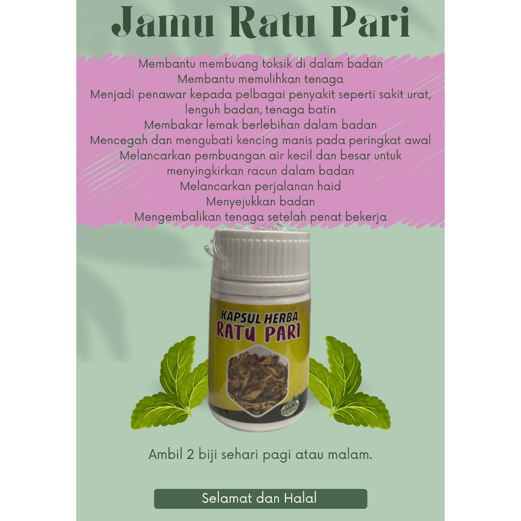 JAMU KAMPUNG KAPSUL RATU PARI JAMU RATU PARI HERBA ORGANIK UBAT TRADISI ...