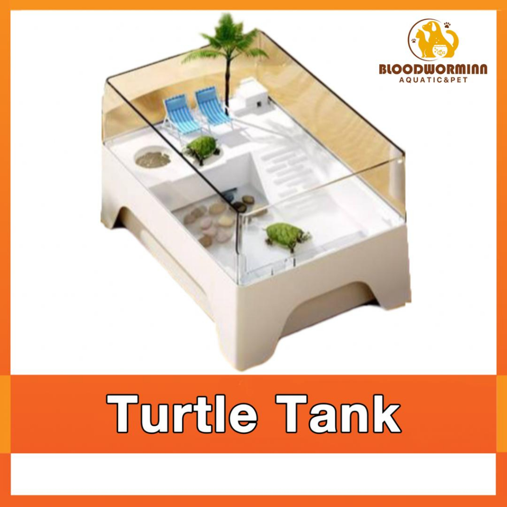 🔥HOT🔥Reptile Turtle Tortoise Vivarium Box Aquarium Tank Basking Ramp ...