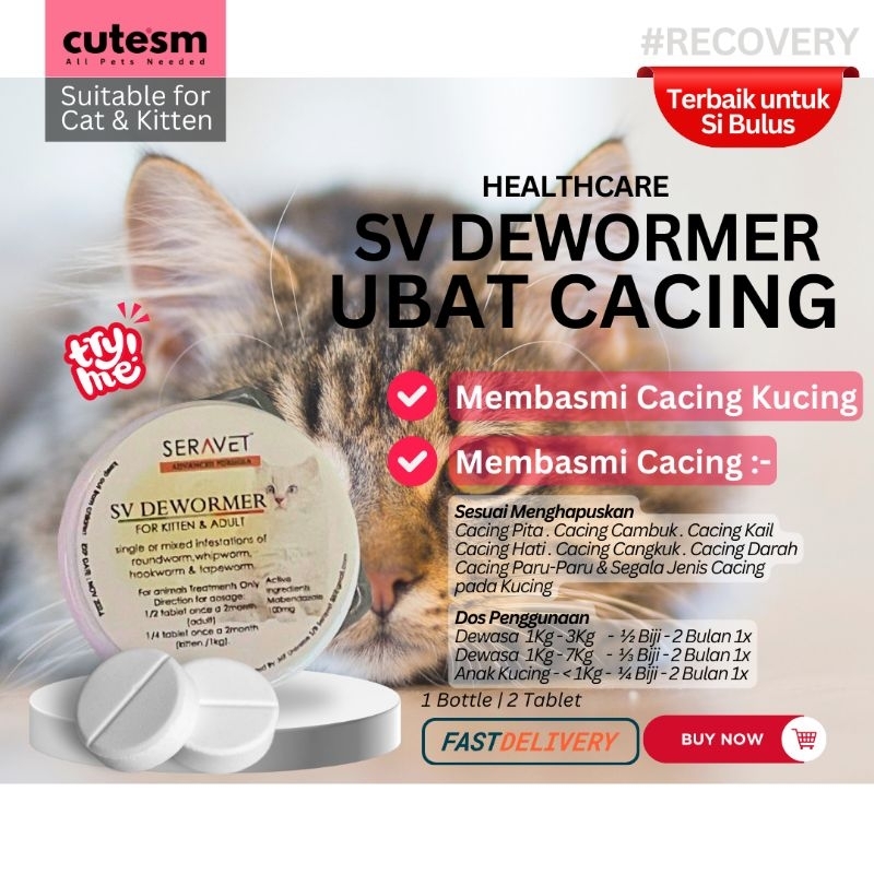 Cat & Kitten 𝐏𝐈𝐋 𝐔𝐁𝐀𝐓 𝐂𝐀𝐂𝐈𝐍𝐆 𝐊𝐔𝐂𝐈𝐍𝐆 . Membasmi Segala Cacing Pada ...