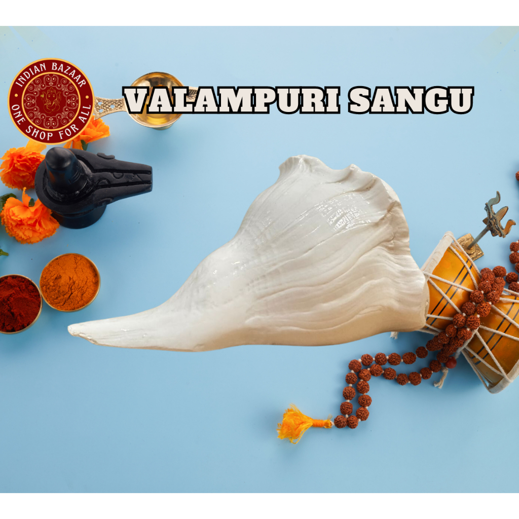 ORIGINAL VALAMPURI SANGU/ DAKSHINAVARTI SHANKH /LAKSHMI SHANKH /CONCH ...