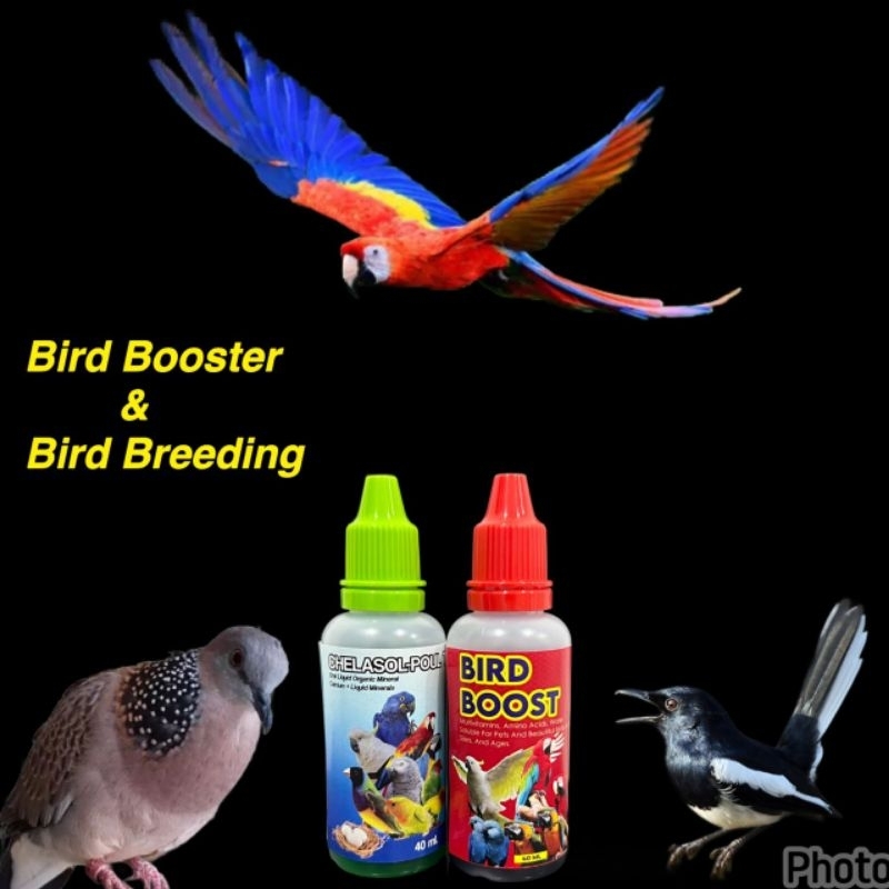 All Kind Bird Booster & All Kind Bird Breeding 2 in 1 (40ml) | Shopee ...