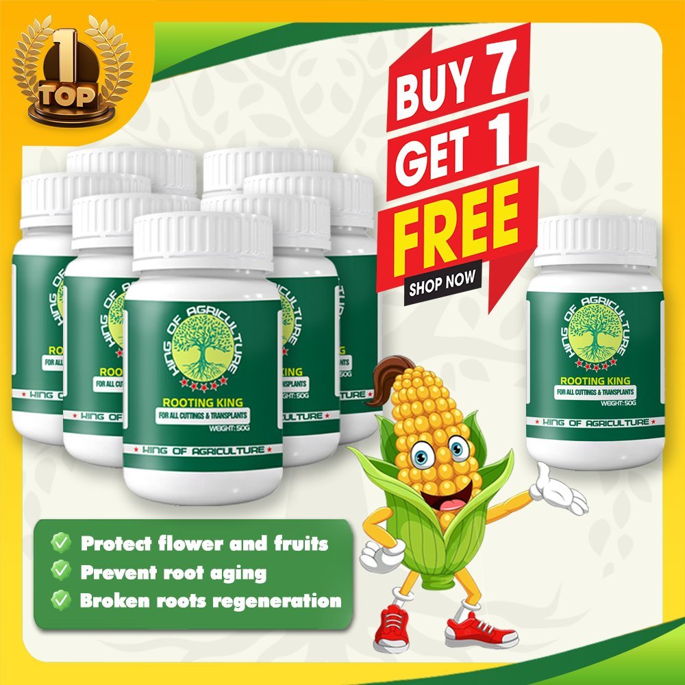 Fresh Combo 7 FREE 1 Rooting King Powder - New generation fertilizer ...