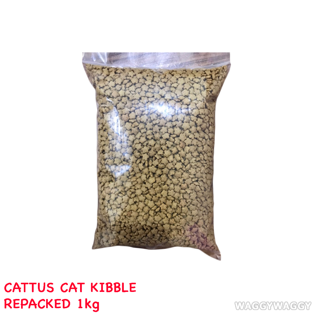 WaggyWaggy Cattus Cat Kibble 100g 1kg Original Pack Ocean Fish Formula ...