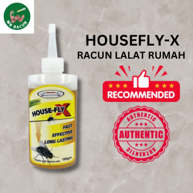 Pembunuh lalat House Fly X Chemibond NonToxic Fly Killer 160g Racun ...