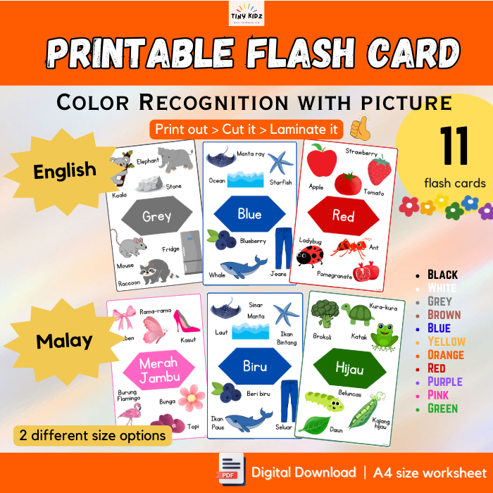F001 PDF Digital Printable Color Recognition Flash Cards for toddlers ...