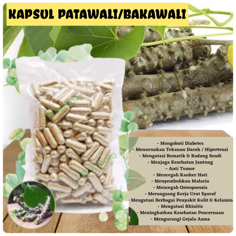 KAPSUL PATAWALI/BAKAWALI/BUTROWALI (100biji) | Shopee Malaysia