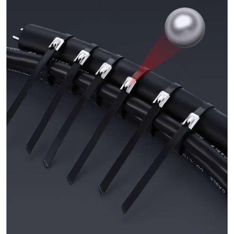 SS316 self-locking Cable Tie SS316 PET Coated Cable Tie 316不锈钢喷塑黑色涂层扎带 ...