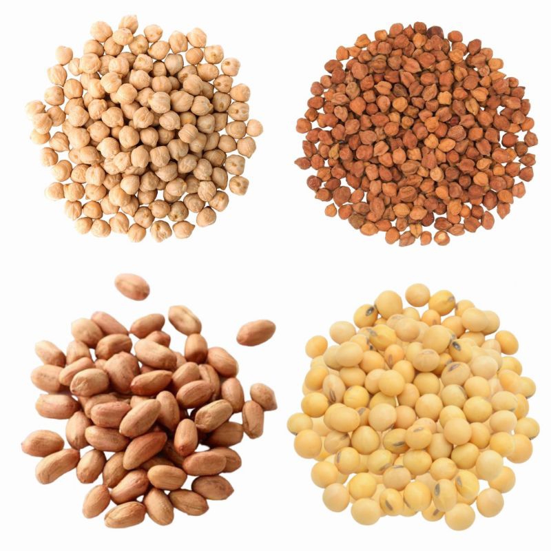 Kacang Kuda / Kacang Kuda Hitam / Kacang Tanah / Kacang Soya | Shopee ...