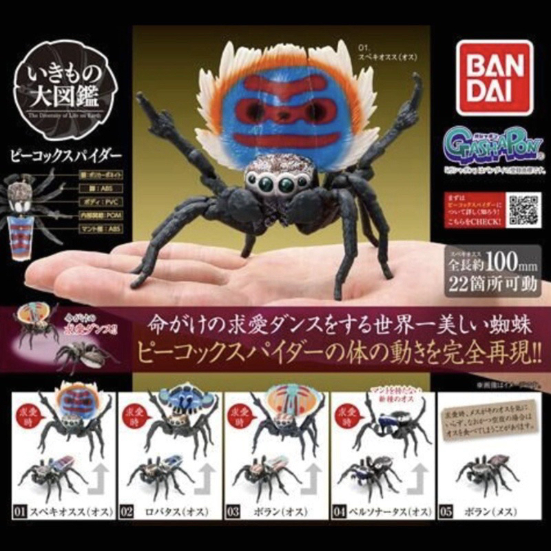 Original Bandai Gashapon Capsule - Insect Spider Figure Model | Shopee ...