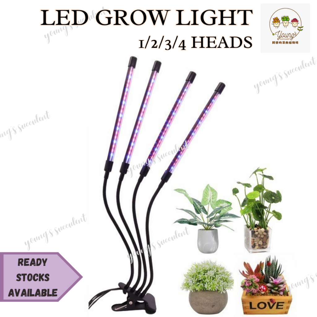 室内多肉绿植植物灯 Full Spectrum Succulent Plant Flower LED Grow Light / Grow Lamp | Shopee Malaysia