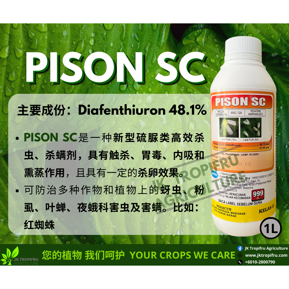 【Racun Lalat Putih/Bena Hijau/Hama Merah】Pison SC (1L) Insecticide ...