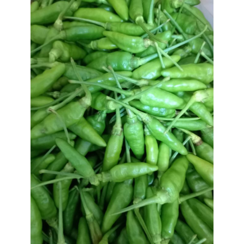 Cili Kampung Original 1kg 1/2kg/200g | Shopee Malaysia