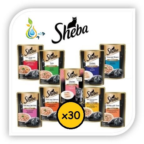 Value Pack Sheba Premium Cat Pouch 70g x30 packs | Shopee Malaysia