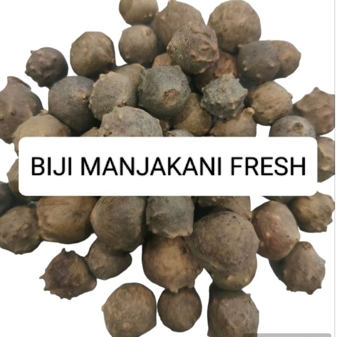Buah Manjakani Fresh 25g | Shopee Malaysia
