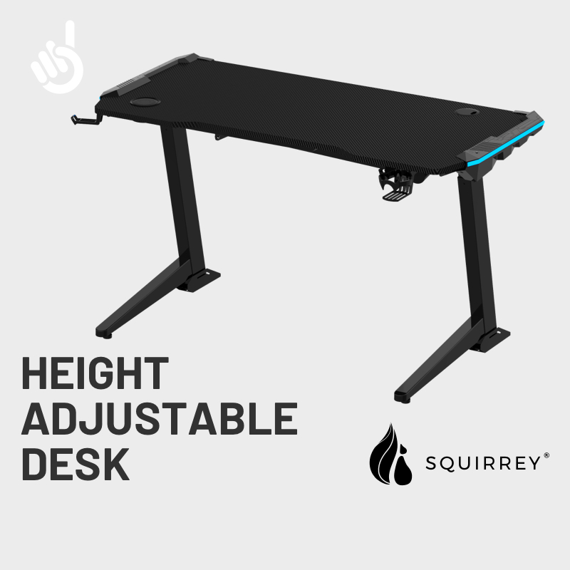 Squirrey Electric Height Adjustable Gaming Desk [4-Memory Setting ...