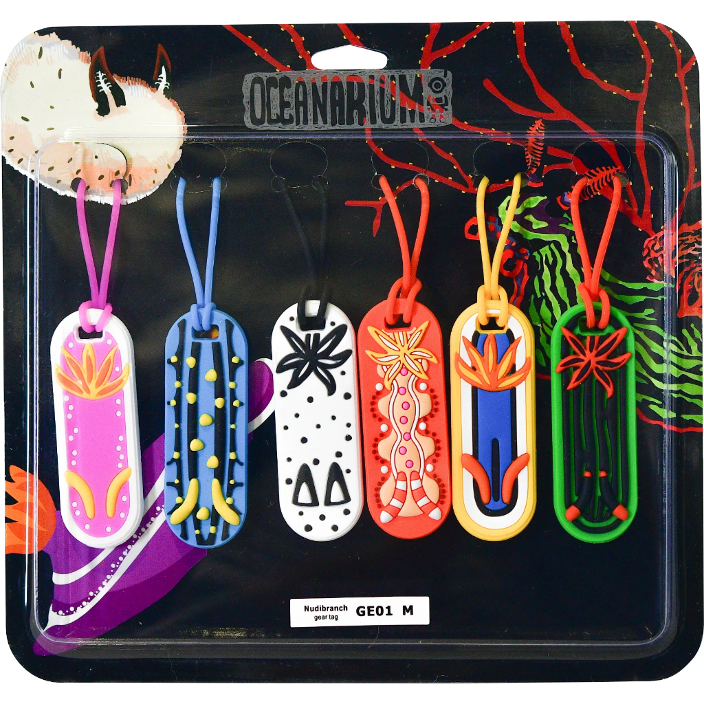 Oceanarium Nudibranch Equipment Tag Combo Pack Seaslug Gear Tag Diving ...