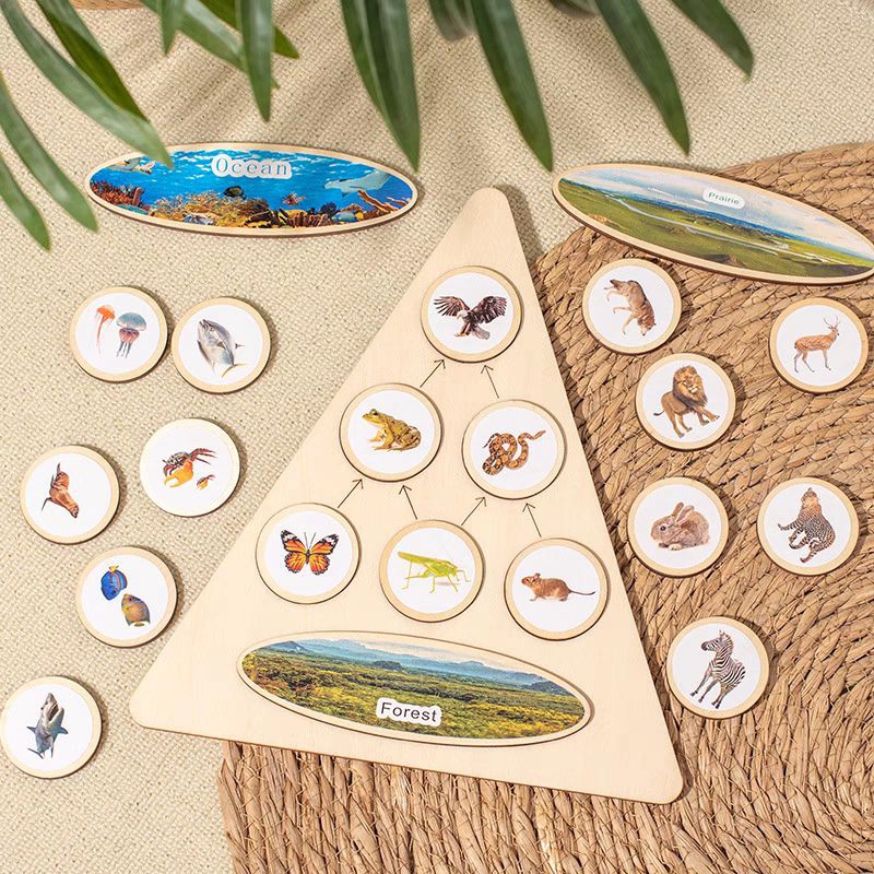 (Ready Stock) Montessori Teaching Aid Food Chain Food Web Puzzle ...