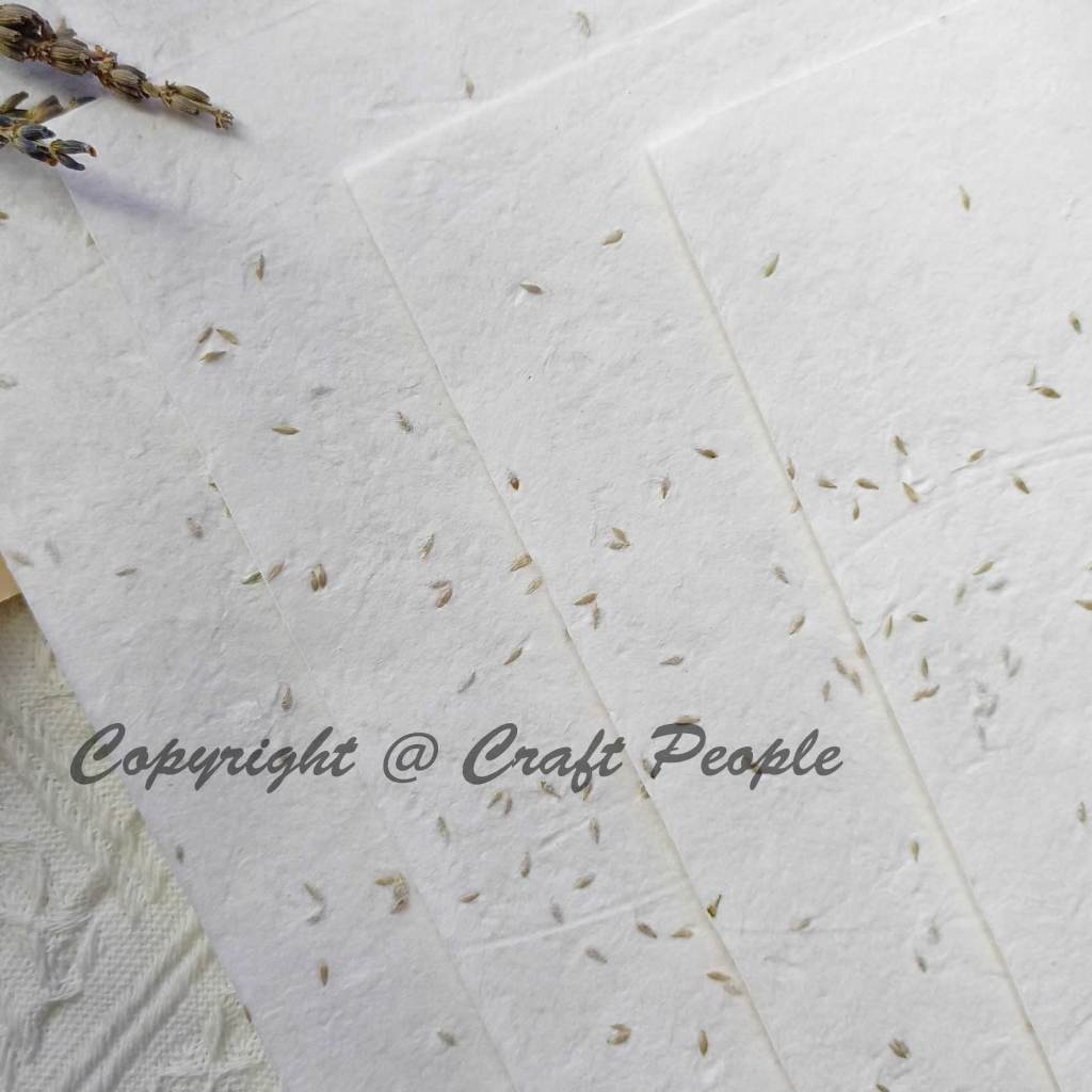 TH Mulberry Salad Seed Paper A4 (100gsm) 种子纸 A4 | Shopee Malaysia