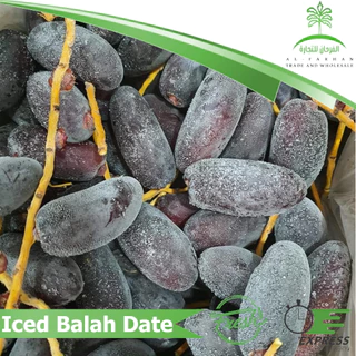 kurma sejuk - Prices and Promotions - Jun 2024 | Shopee Malaysia
