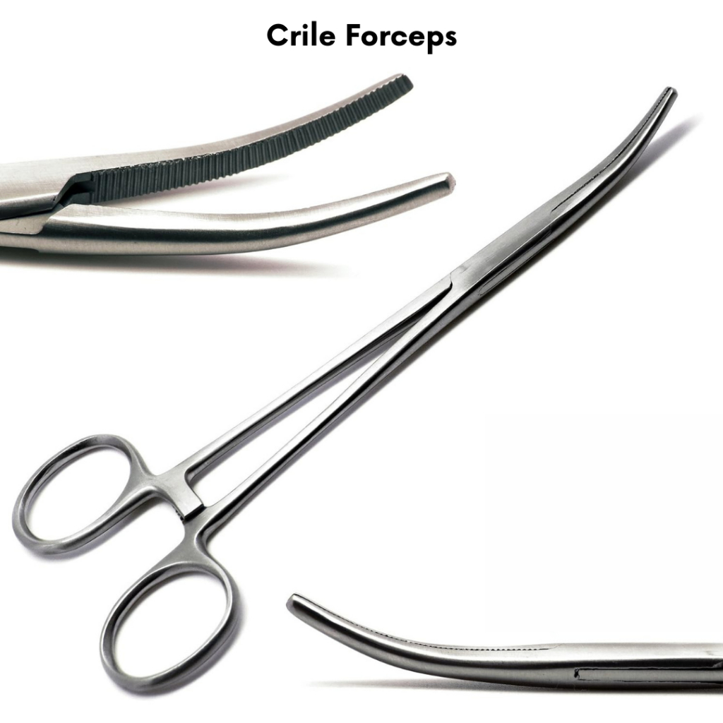 Stainless Steel Crile Forceps Hemostatic Clamps Artery Instrument Medical Surgical Forceps ...