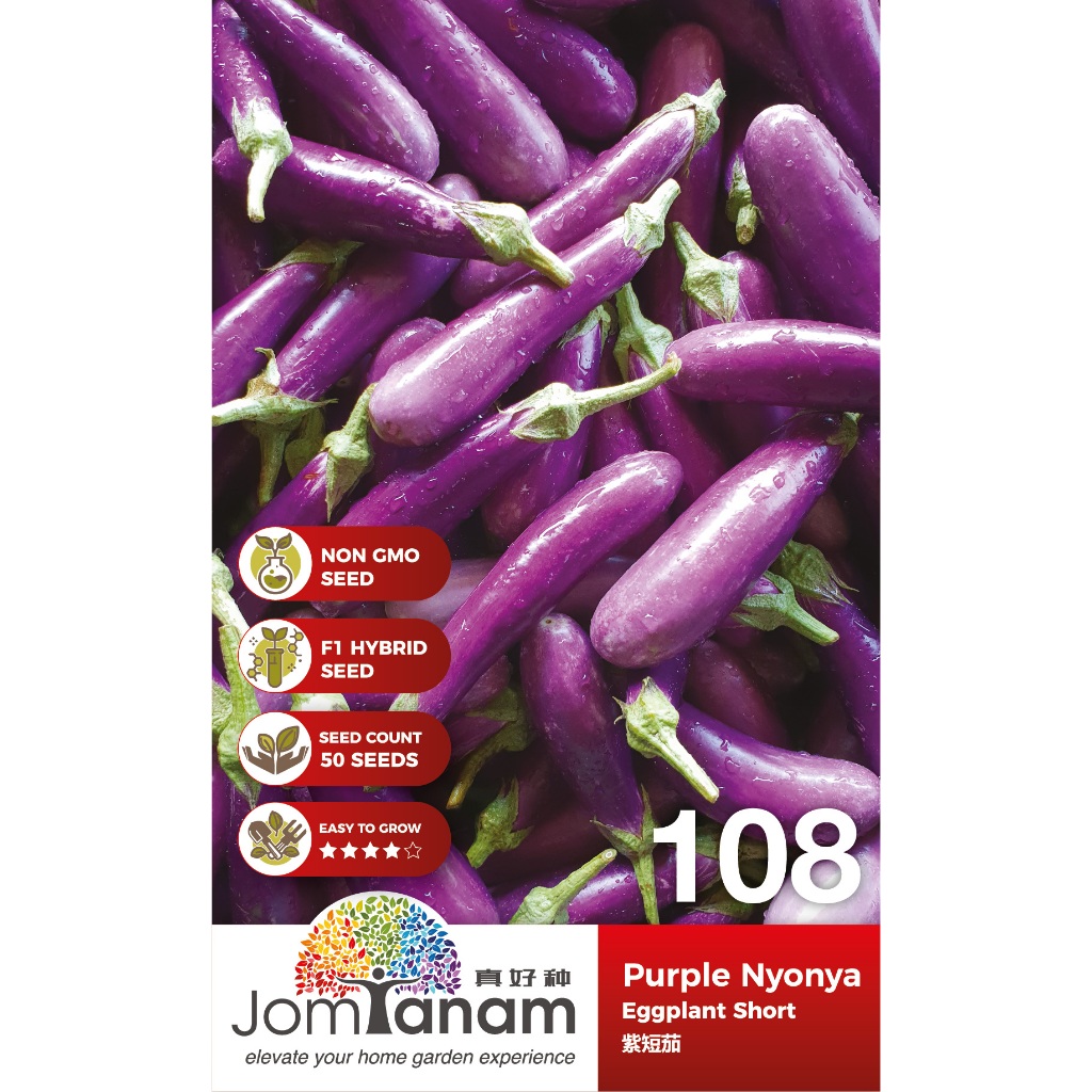 Eggplant Short Purple Nyonya JT-108 (50 Seeds) | Shopee Malaysia