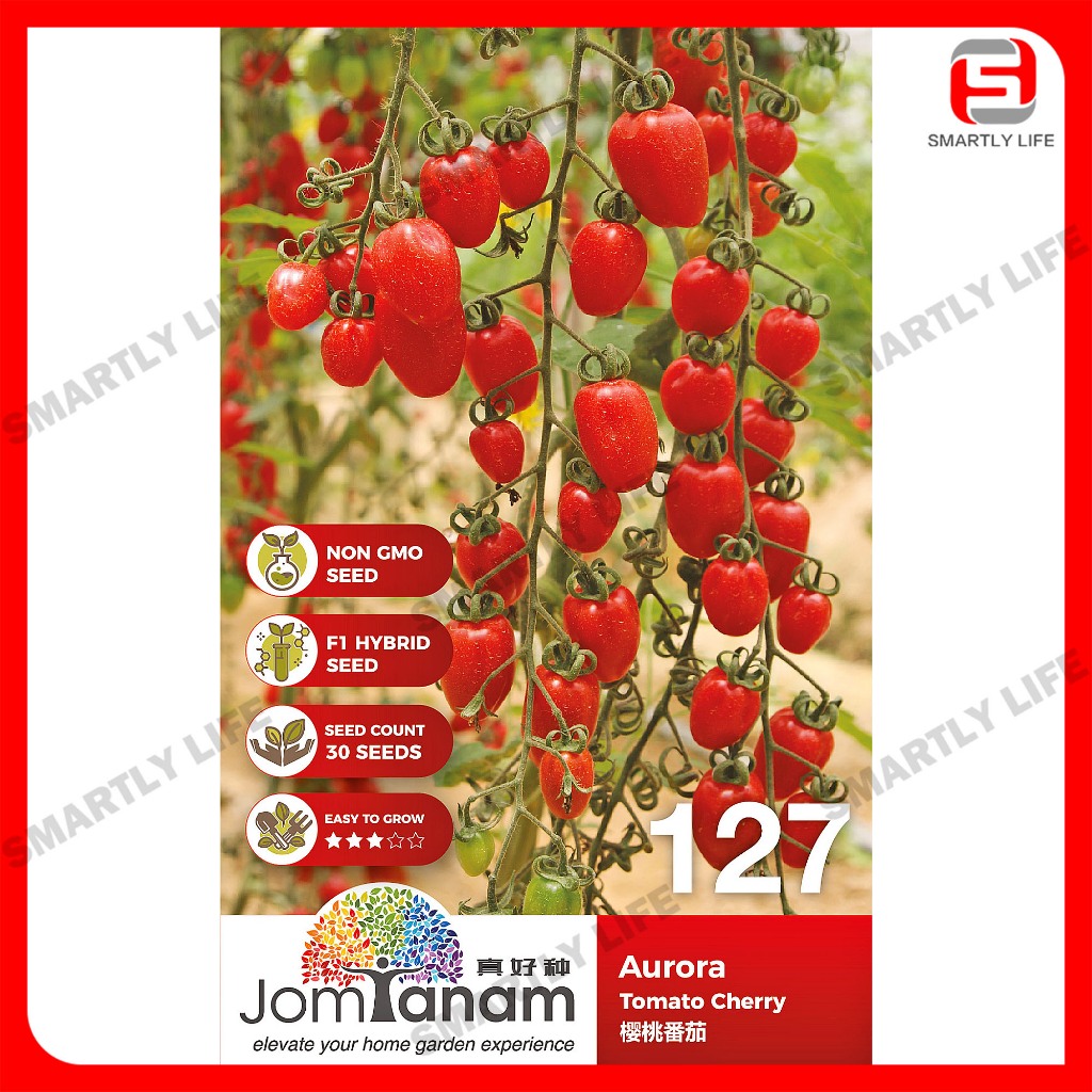 Tomato Cherry Aurora Benih Tomato Ceri 樱桃番茄 Jom Tanam Seeds 种子 JT-127 ...