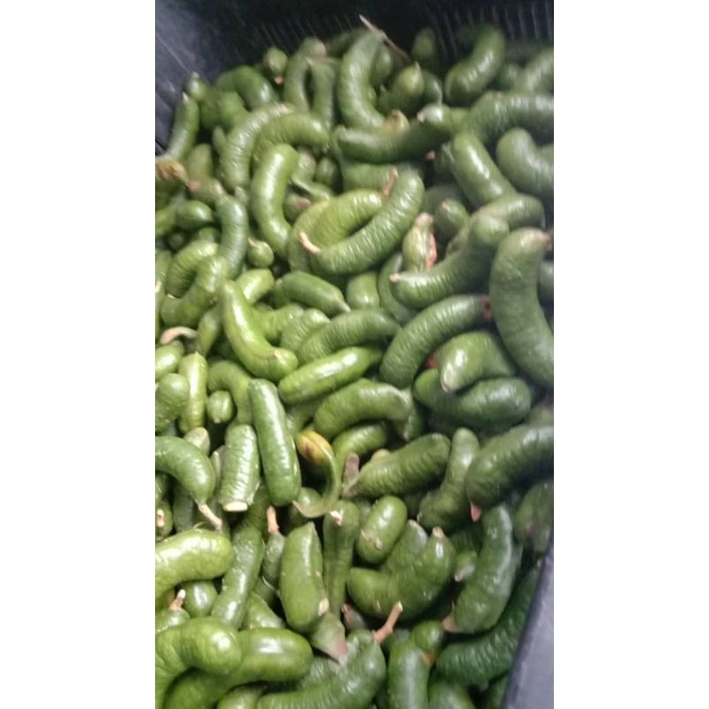 kerdas kampung baru 500g | Shopee Malaysia