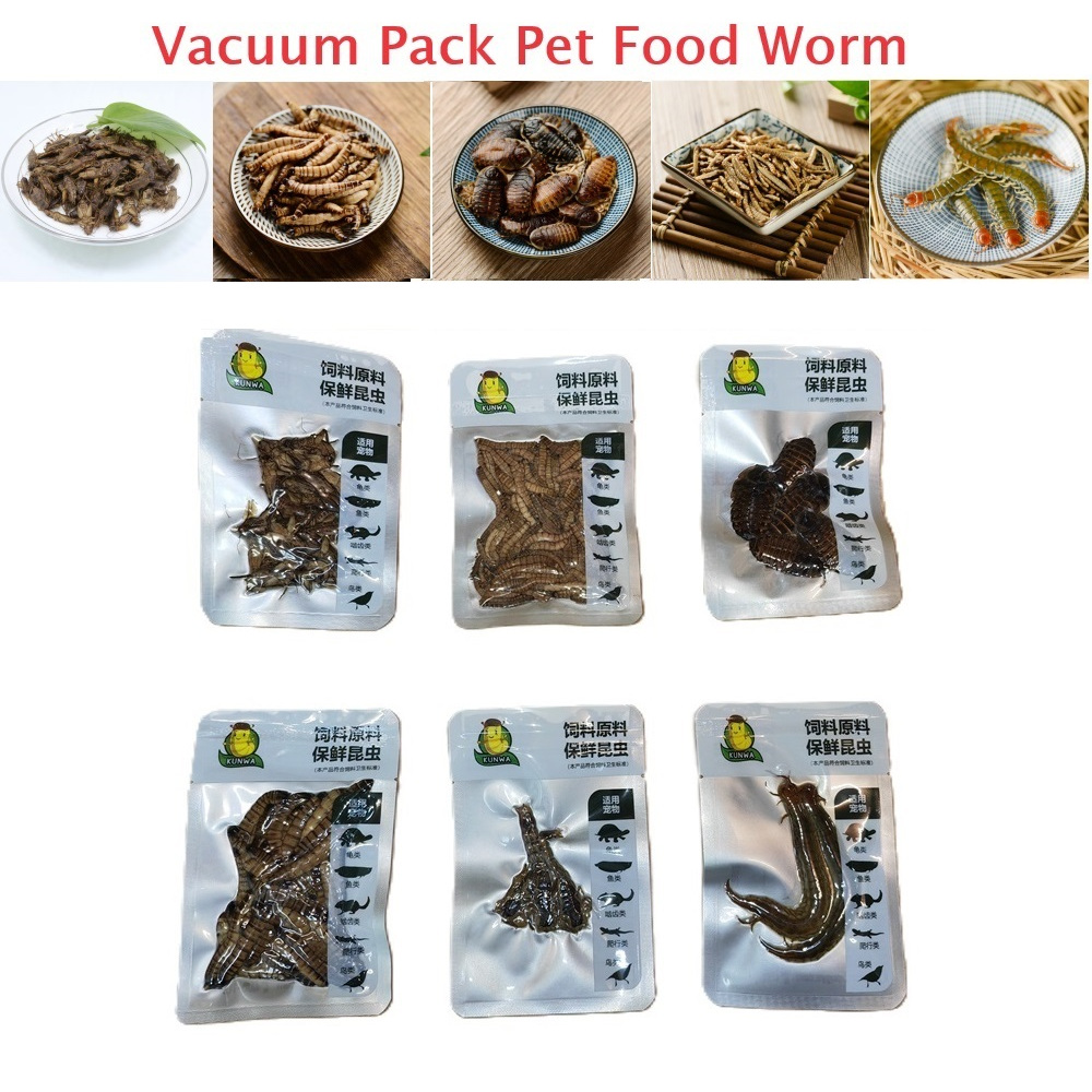 Vacuum Fresh Worm Arowana Bird Pet Food Dubia Cockroach Cricket ...