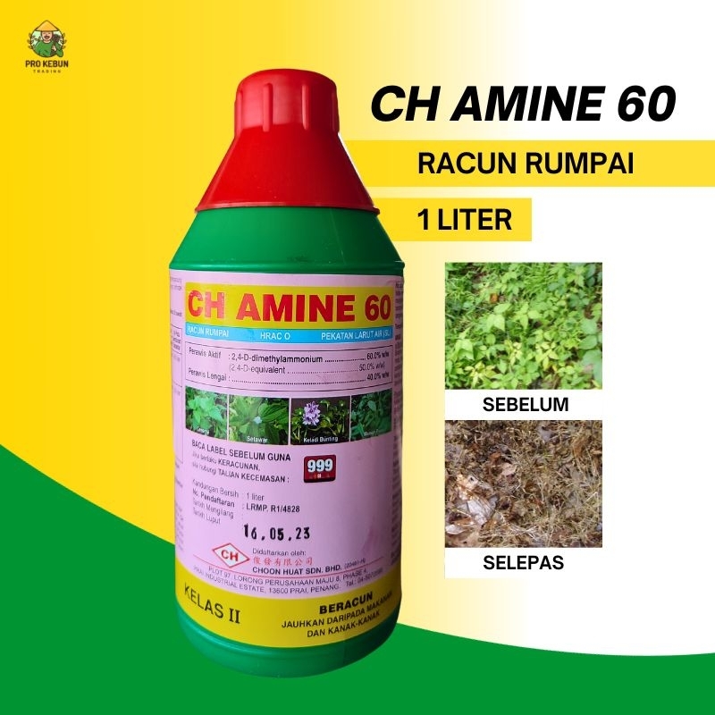 CH Amine 60 Herbicide Racun Rumput Amine 60 Racun Rumpai Padi Keladi ...