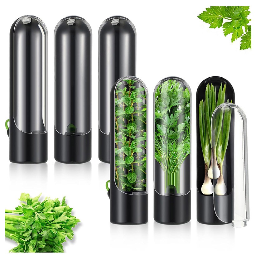 Premium Herb Keeper and Herb Storage Container Extra Large Glass Design ...